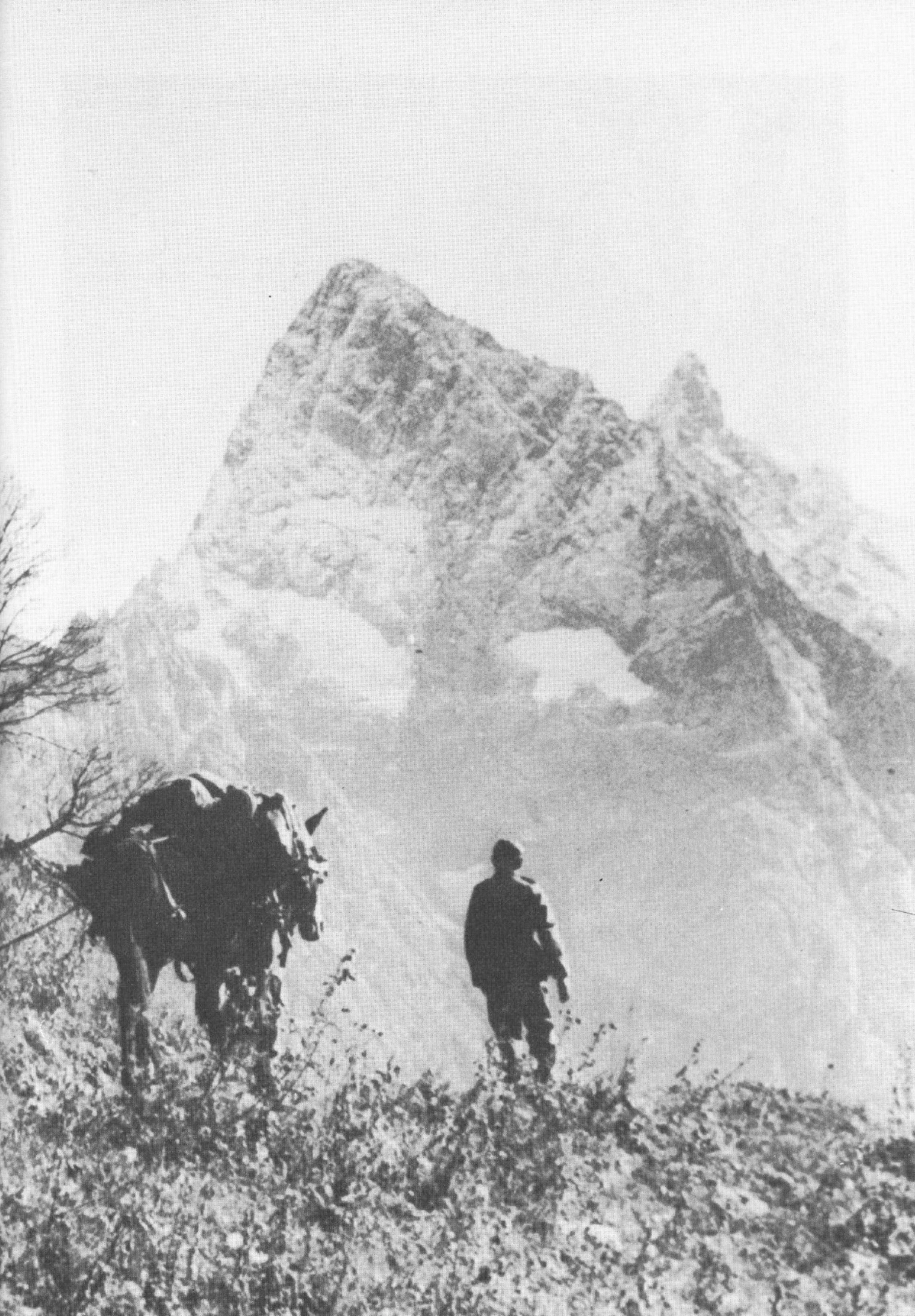 German mountain troops wwii photo album | PDF