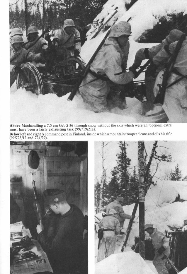 German mountain troops wwii photo album | PDF