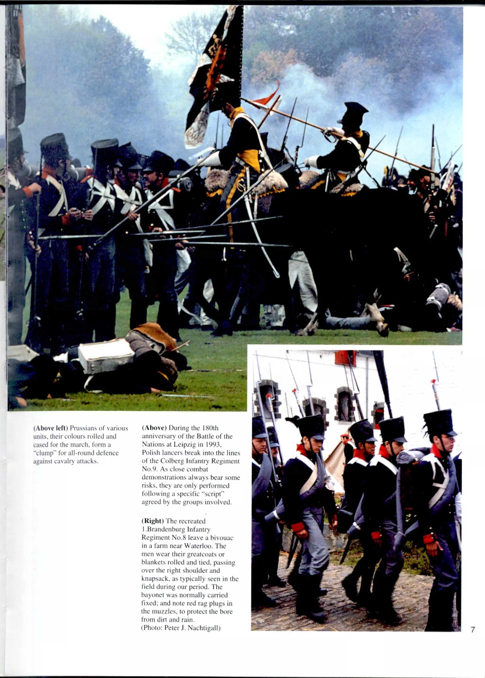 German Napoleonic armies | PDF