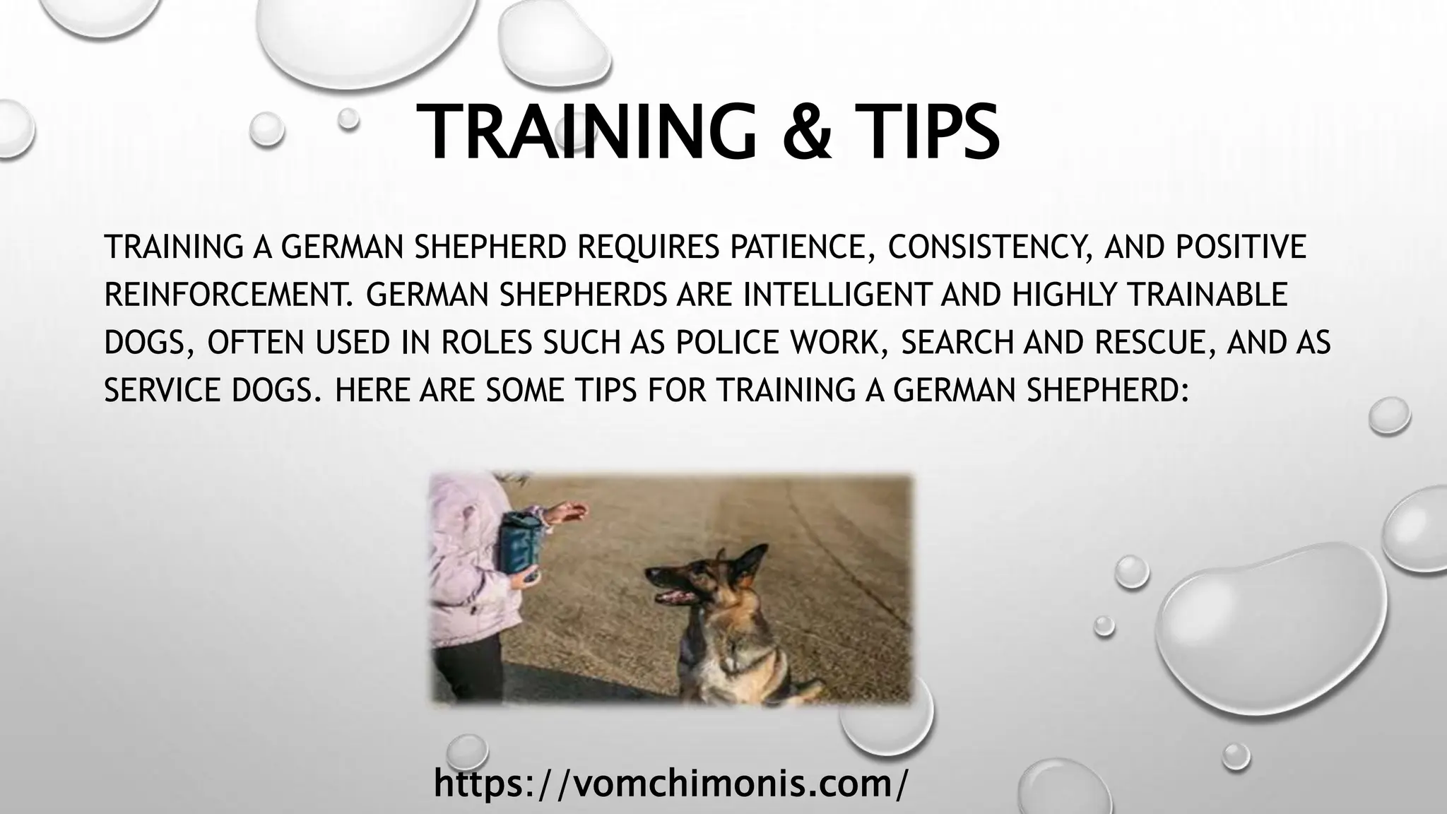 GERMAN SHEPHERD TRAINING & TIPS.pptx