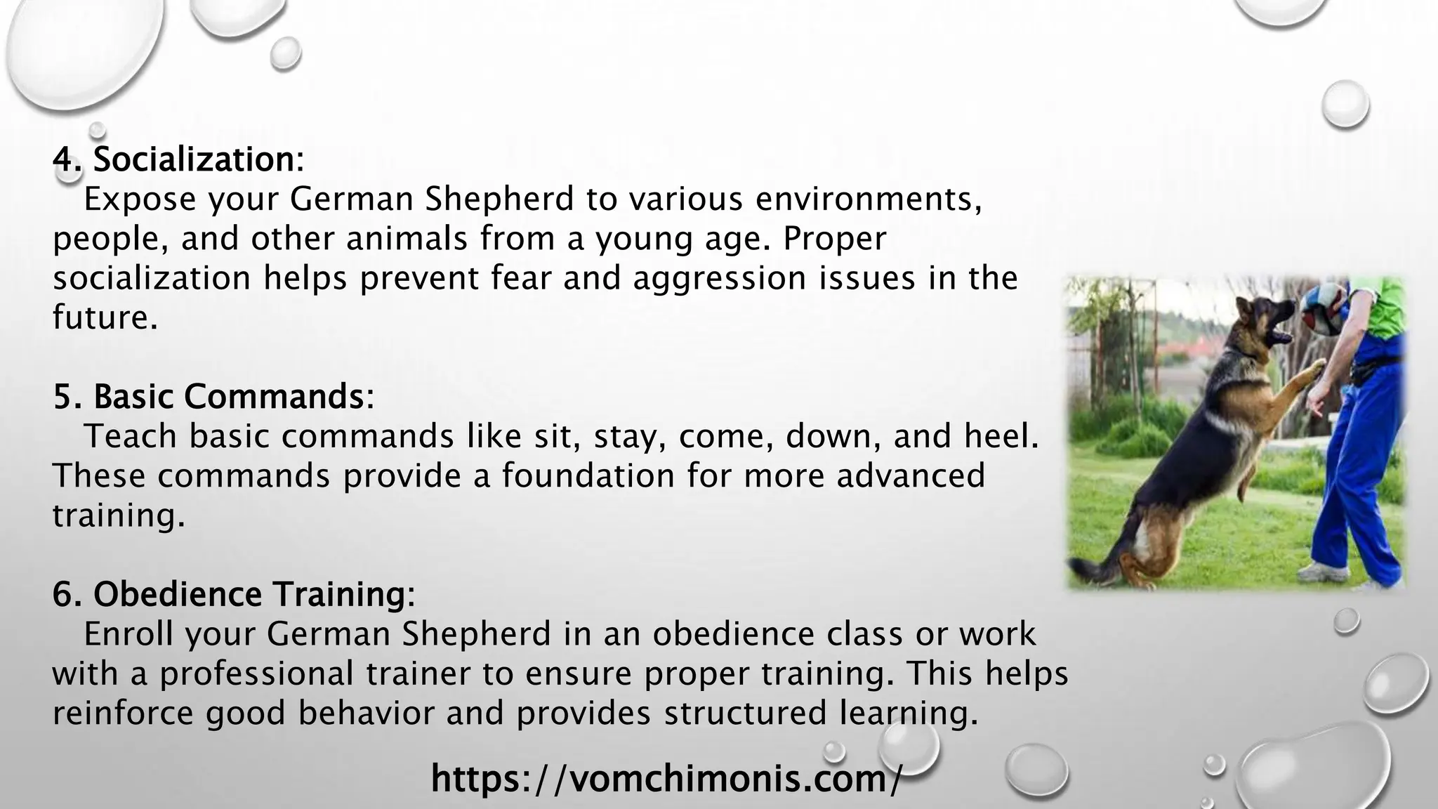 GERMAN SHEPHERD TRAINING & TIPS.pptx