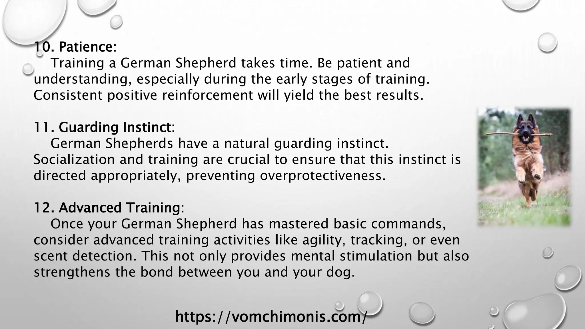 GERMAN SHEPHERD TRAINING & TIPS.pptx