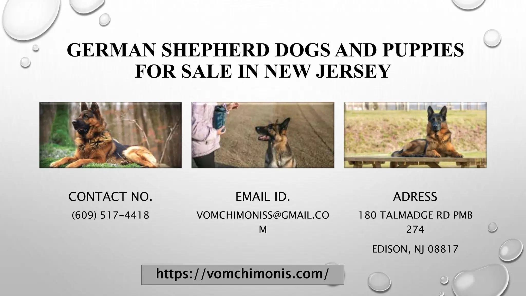 GERMAN SHEPHERD TRAINING & TIPS.pptx