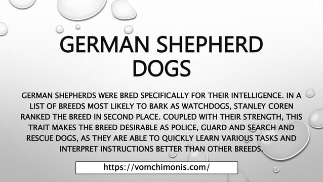 GERMAN SHEPHERD TRAINING & TIPS.pptx