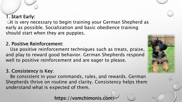 GERMAN SHEPHERD TRAINING & TIPS.pptx