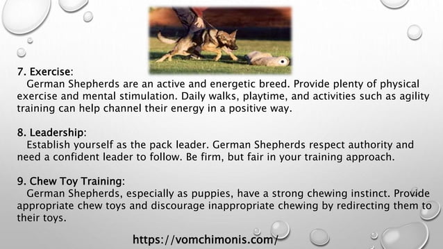 GERMAN SHEPHERD TRAINING & TIPS.pptx