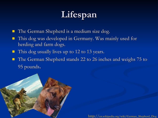 German shepherd (science) | PPT