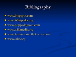 German shepherd (science) | PPT