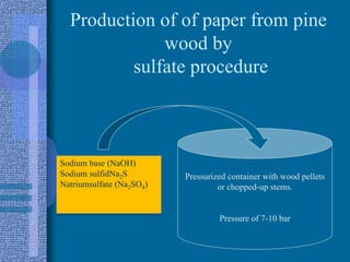 Germany - Cellulose - base for paper sourcing | PPTX
