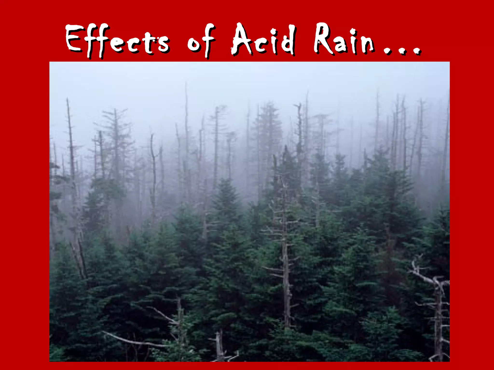Germany's Acid Rain | PPT | Environment | Science