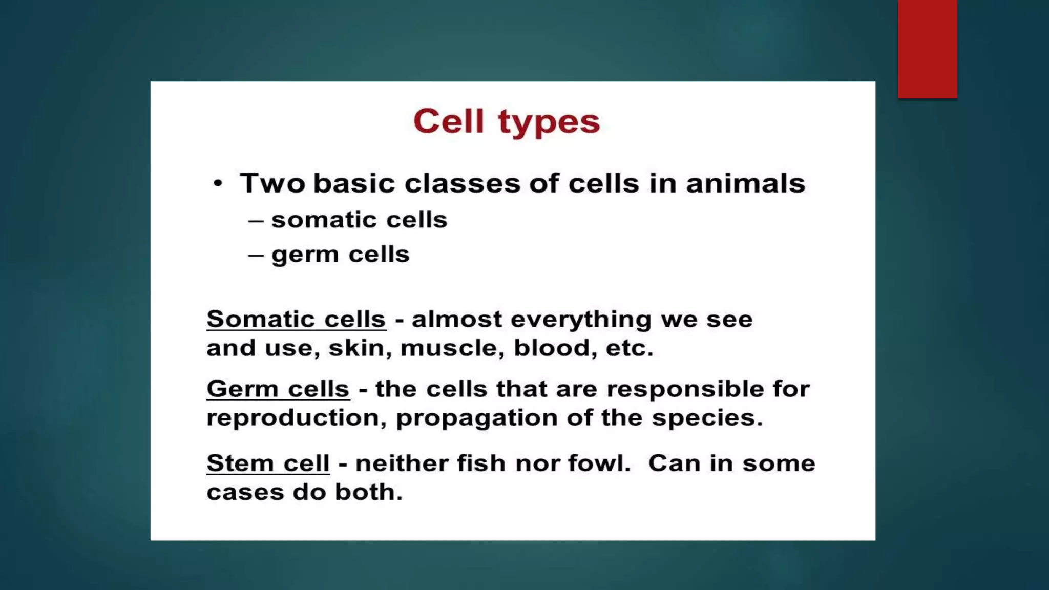 Germ cell migration. | PPTX