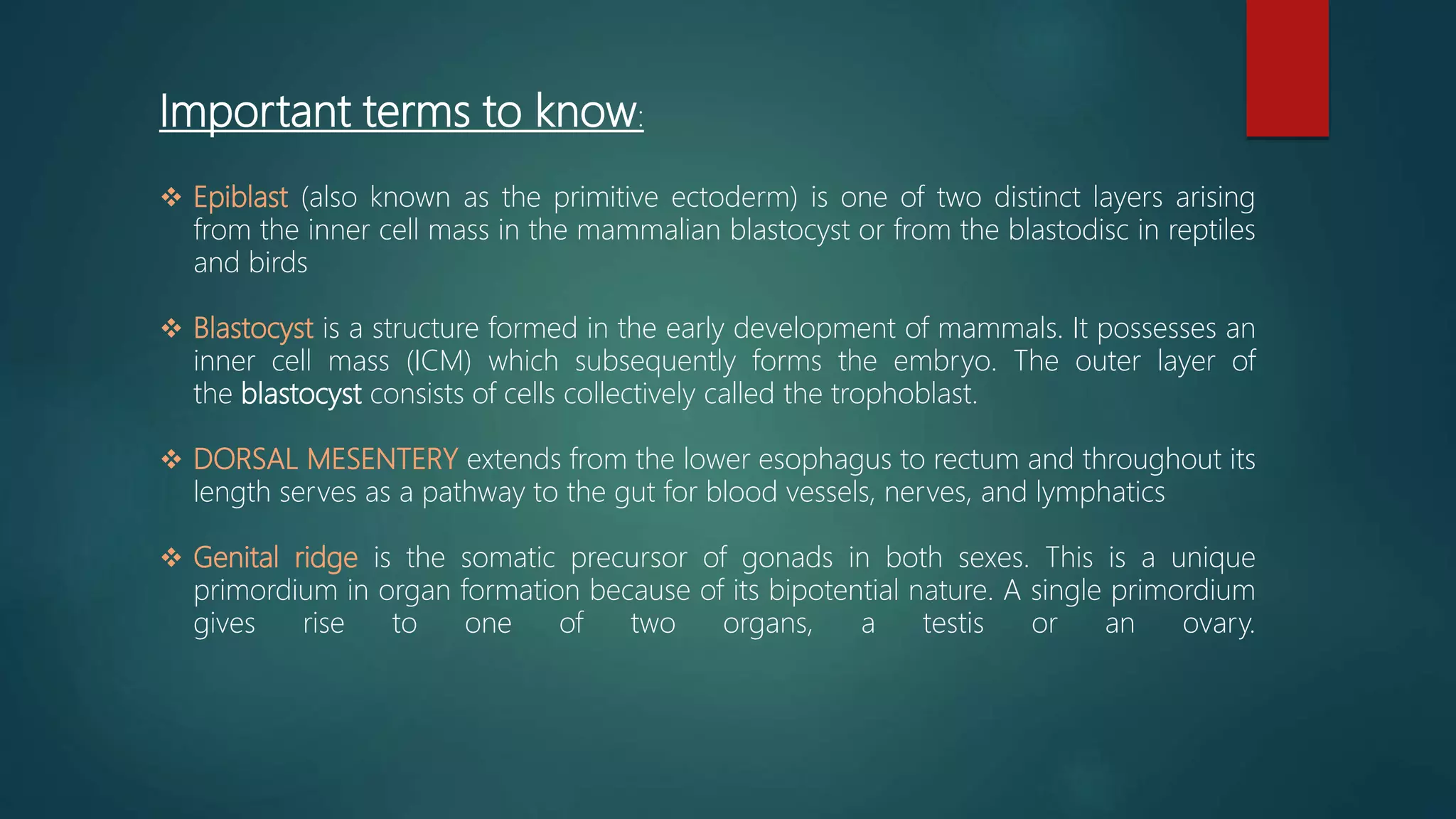 Germ cell migration. | PPTX