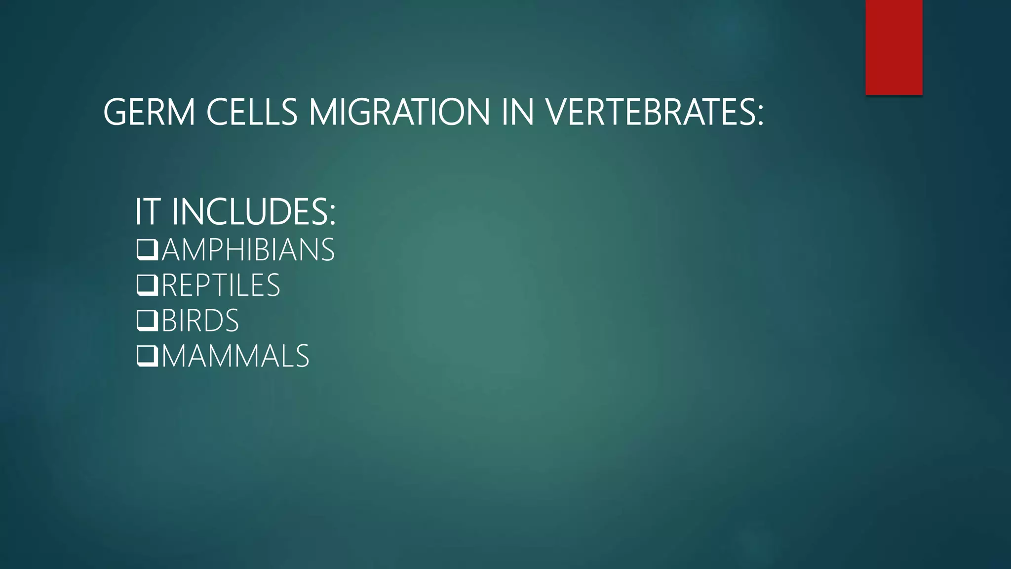 Germ cell migration. | PPTX