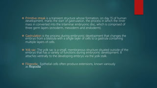 Germ cell migration. | PPTX
