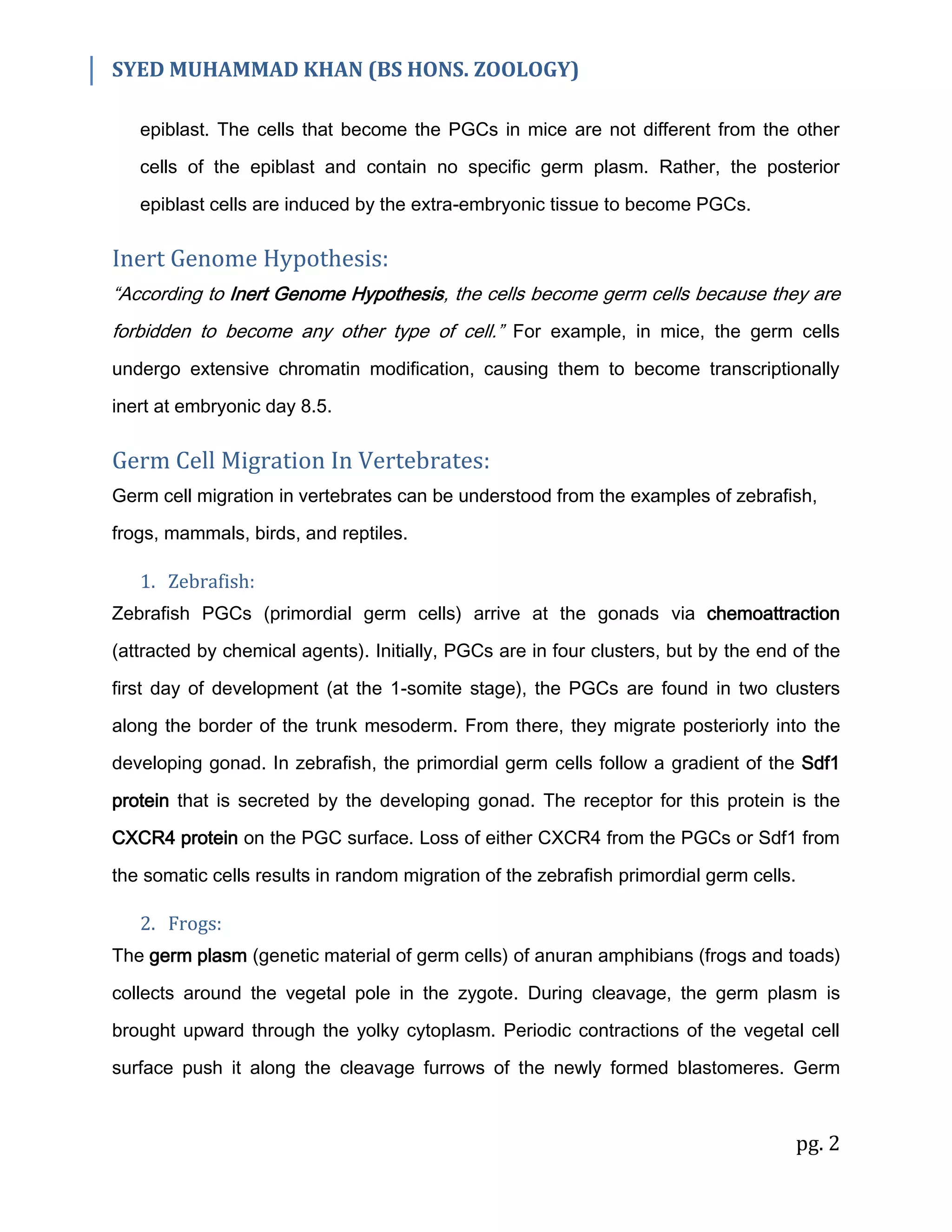 Origin and Migration of Germ Cells in Vertebrates | PDF