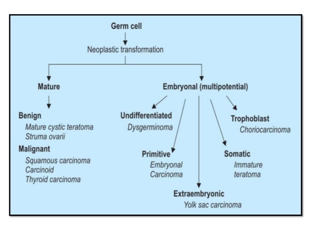 Germ Cell Tumors Of Ovary
