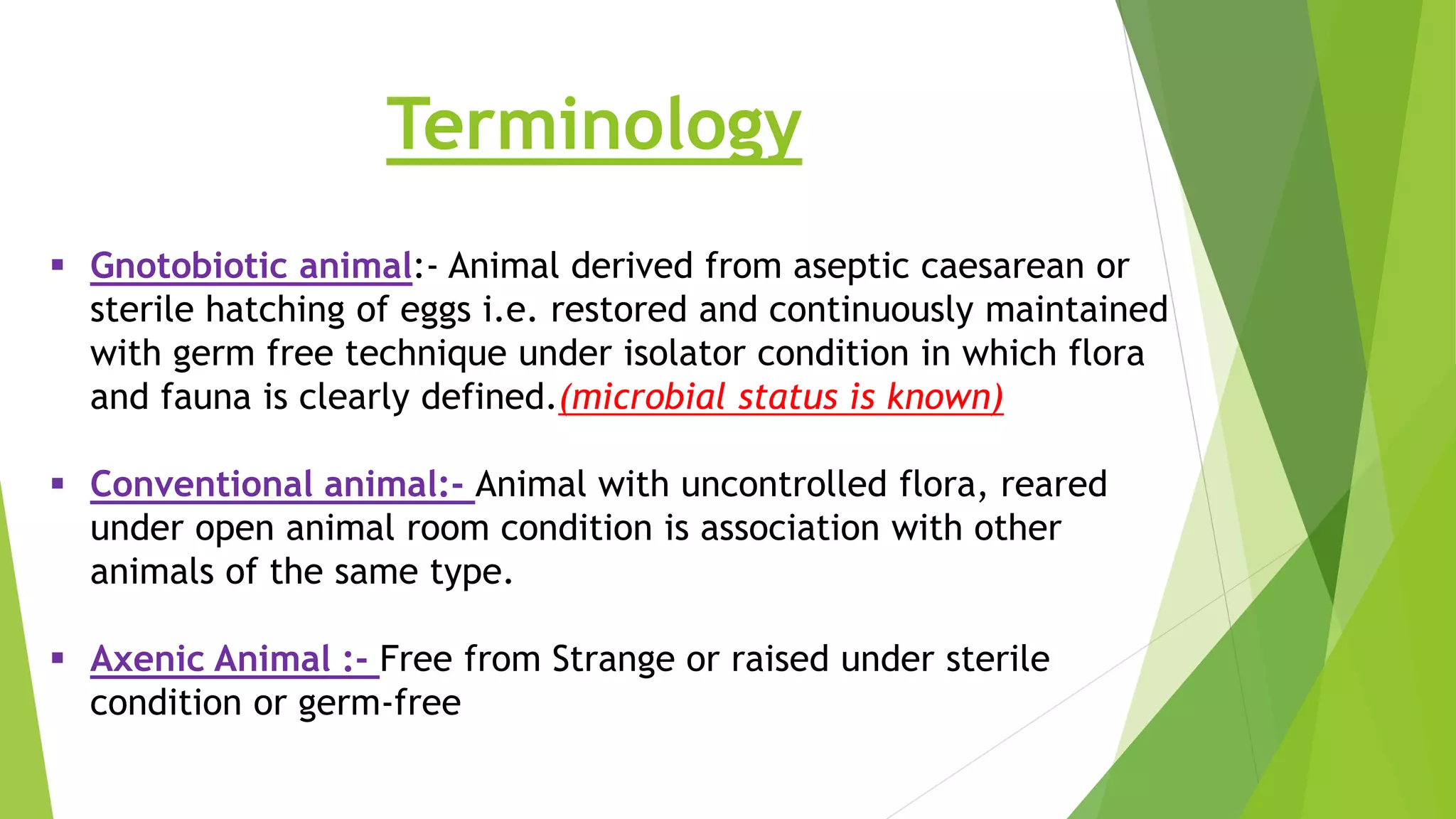 Production method of germ free lab animals | PPTX