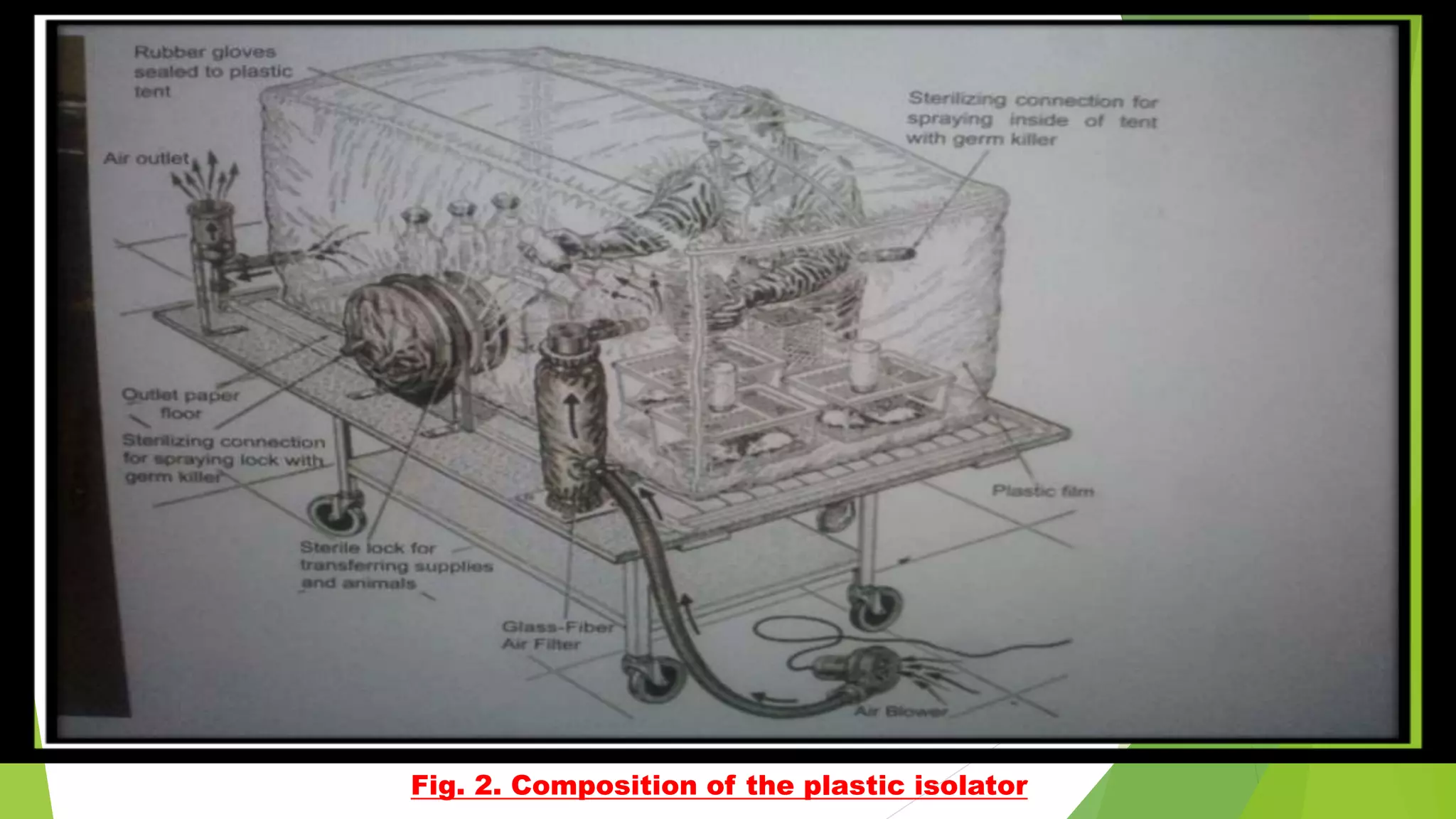 Production method of germ free lab animals | PPTX