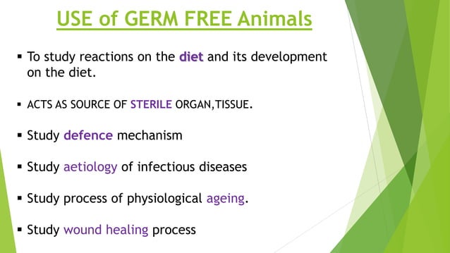 Production method of germ free lab animals | PPTX | Pets