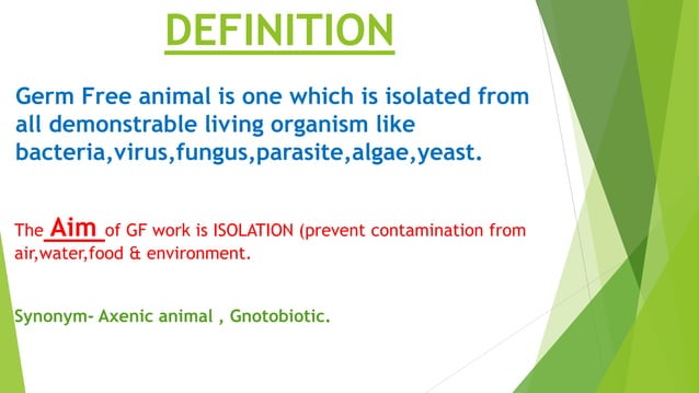 Production method of germ free lab animals | PPTX | Pets