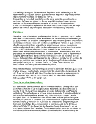 Germinación de las semillas de palma | DOCX