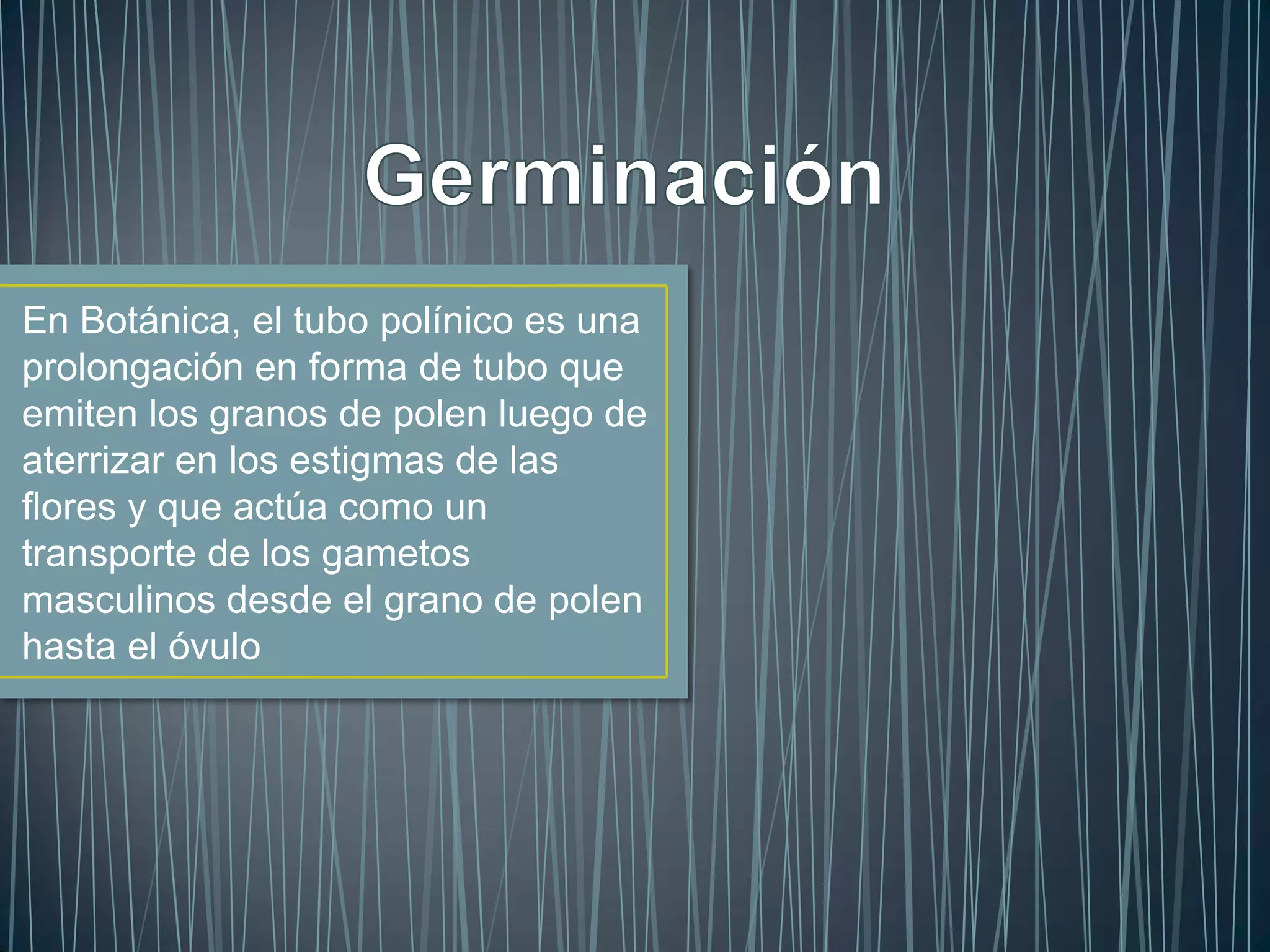 Germinacion | PPTX