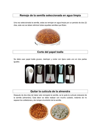 Germinacion de durazno palta y granadilla | PDF
