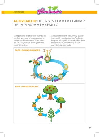 Germinador | PDF
