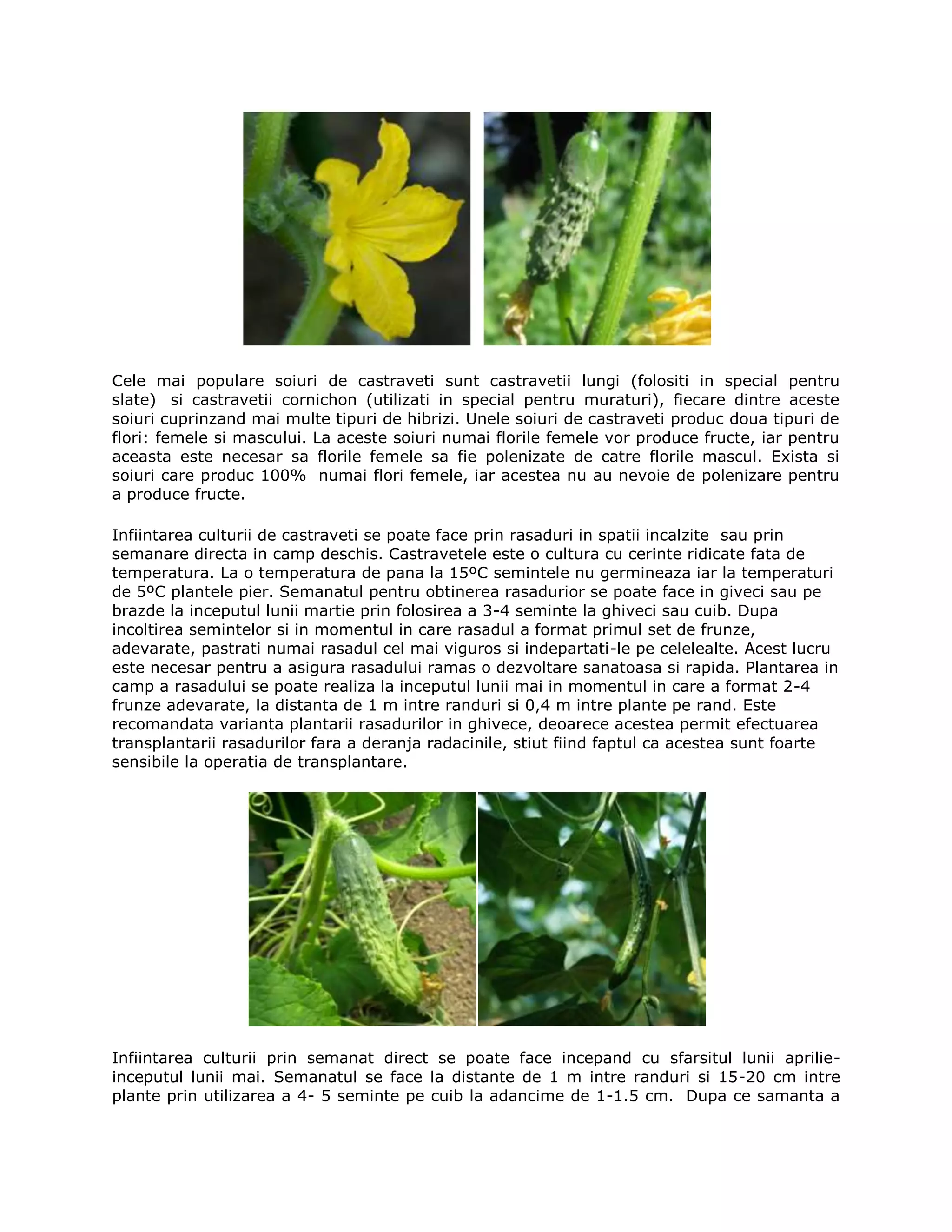 Germinarea semintelor | DOCX