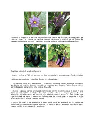 Germinarea semintelor | DOCX