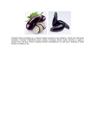 Germinarea semintelor | DOCX