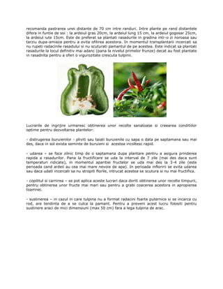 Germinarea semintelor | DOCX
