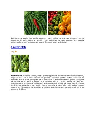 Germinarea semintelor | DOCX