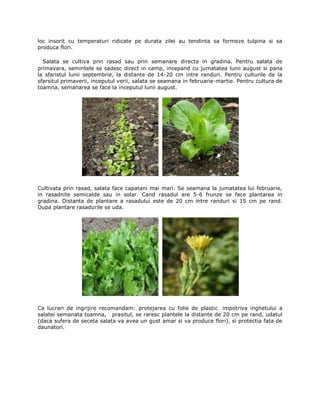 Germinarea semintelor | DOCX