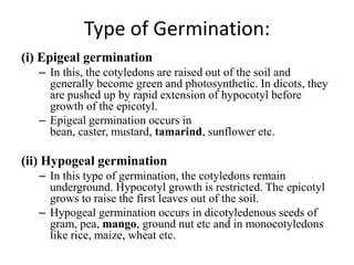 Germination | PPTX