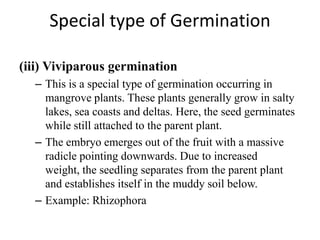 Germination | PPTX