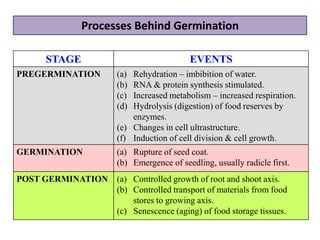 Germination | PPTX