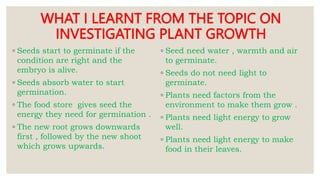 GERMINATION.ppt What is germination andd | PPT