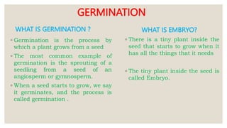 GERMINATION.ppt What is germination andd | PPT
