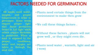 GERMINATION.ppt What is germination andd | PPTX