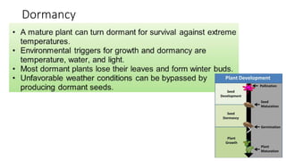 Germination.Pre- International GCSE & International GCSE Biologypptx | PPT