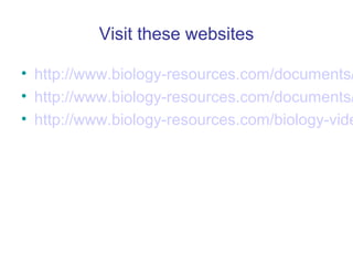 Biology Germination | PPT