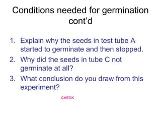Biology Germination | PPT