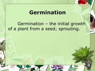 Germination2 | PPTX