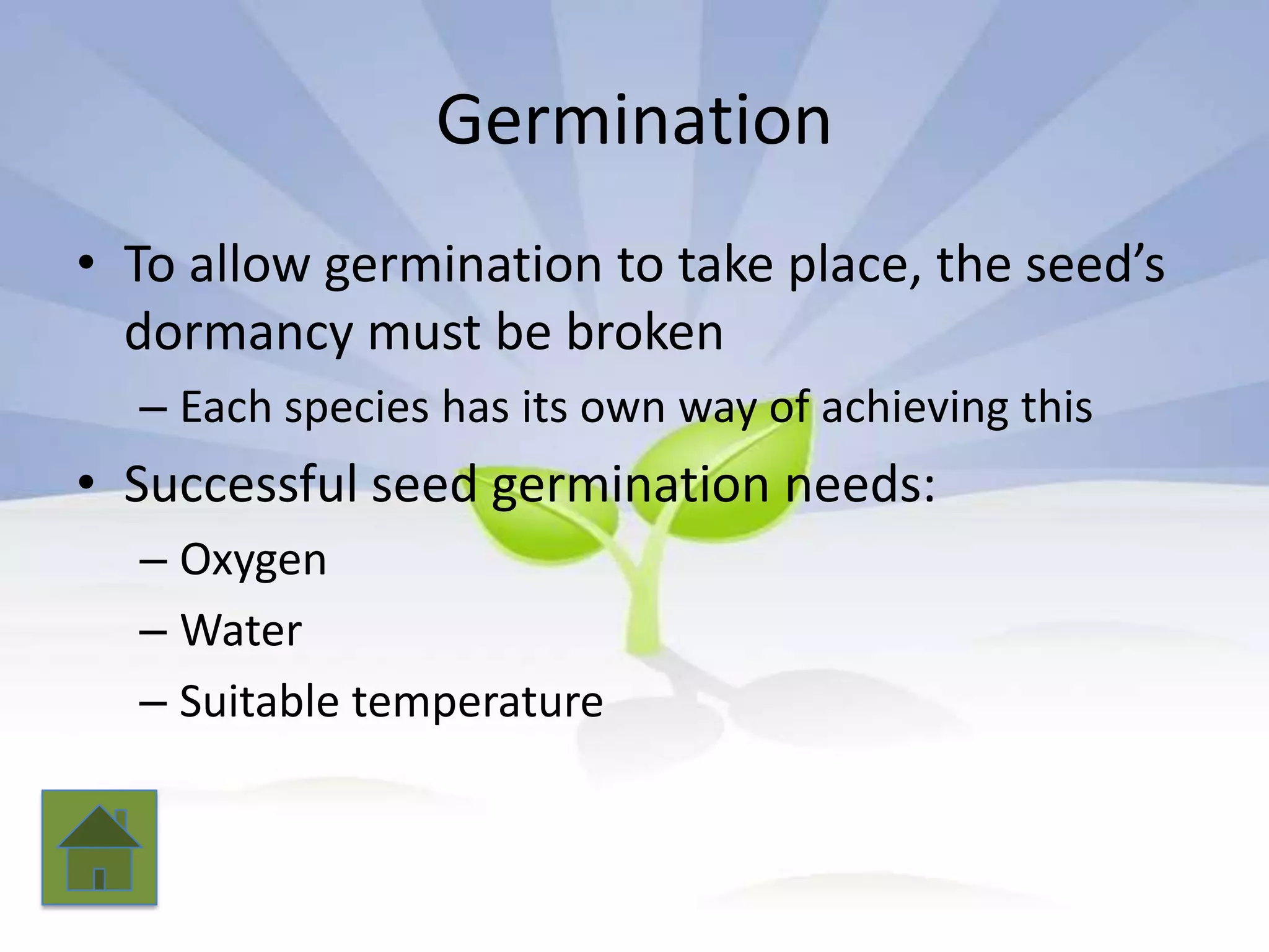 Germination and metabolic processes | PPTX