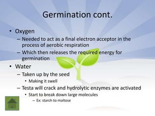Germination and metabolic processes | PPTX