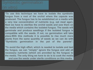 Germination of orchid | PPTX