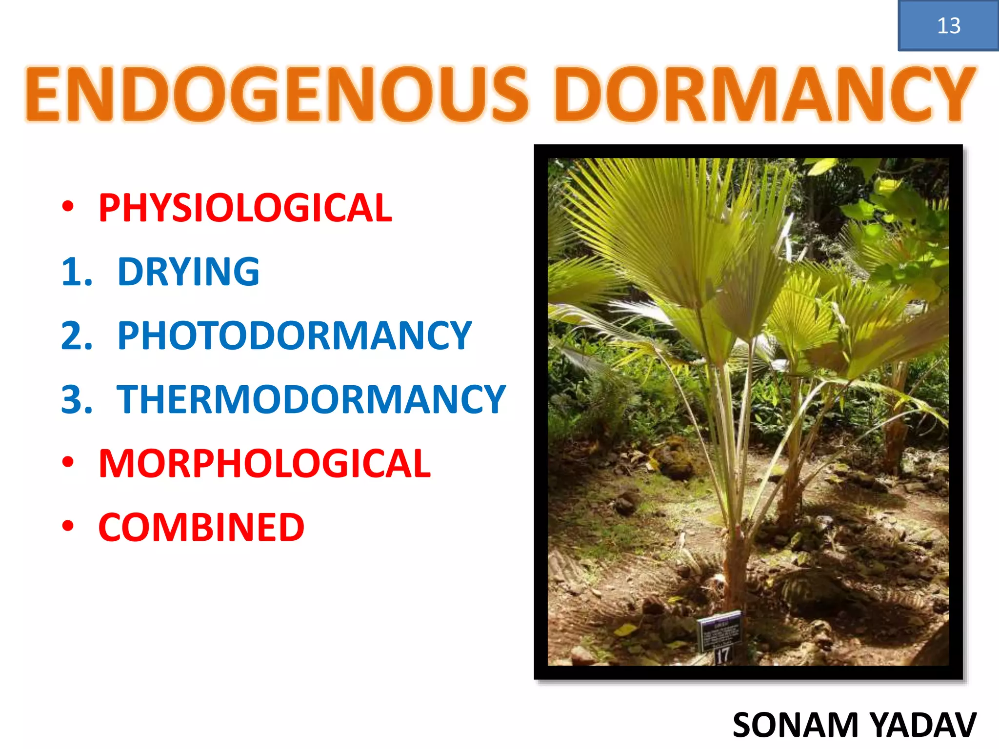 Germination of seed | PPTX