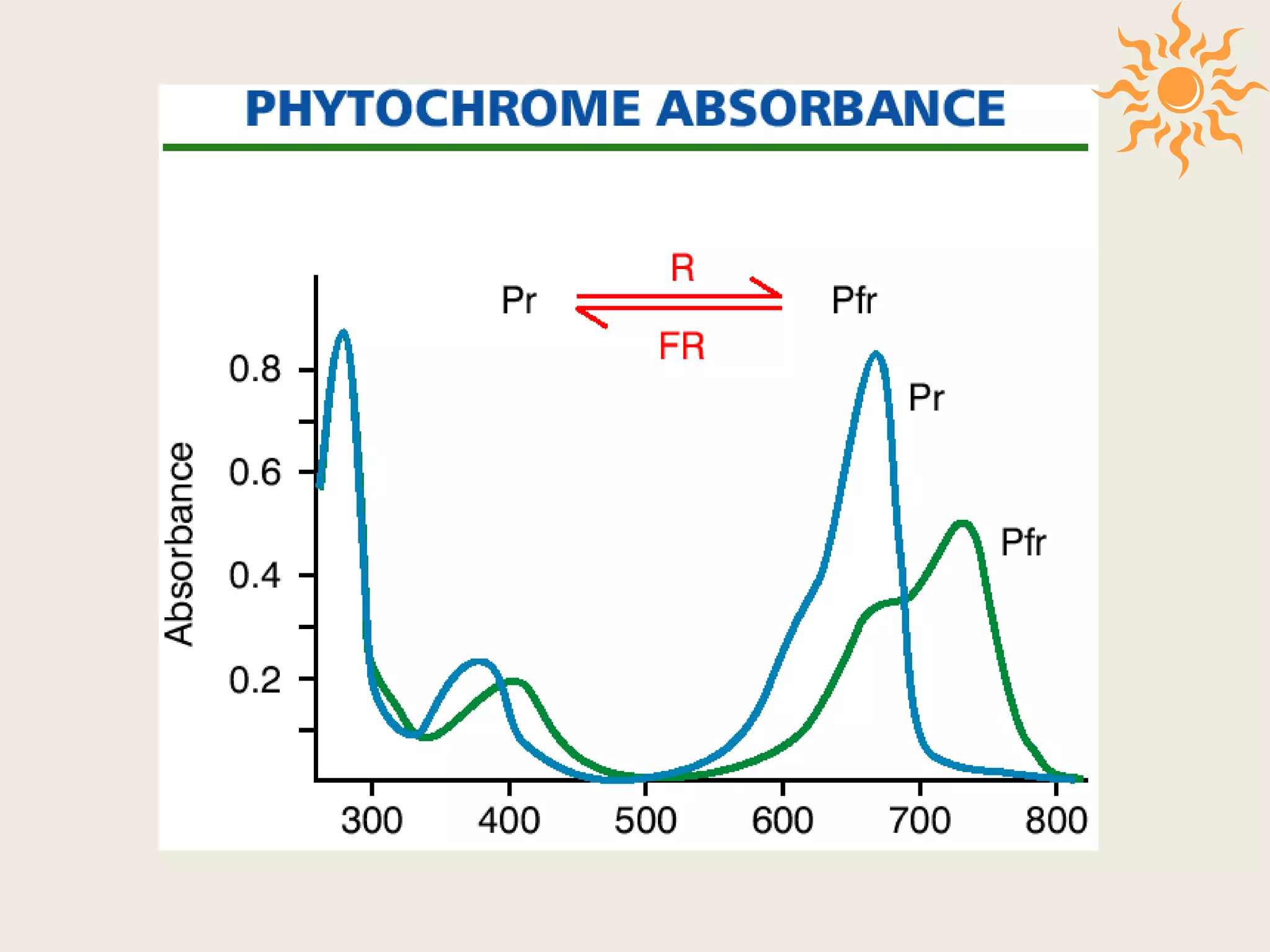 Germination ppt final | PPTX