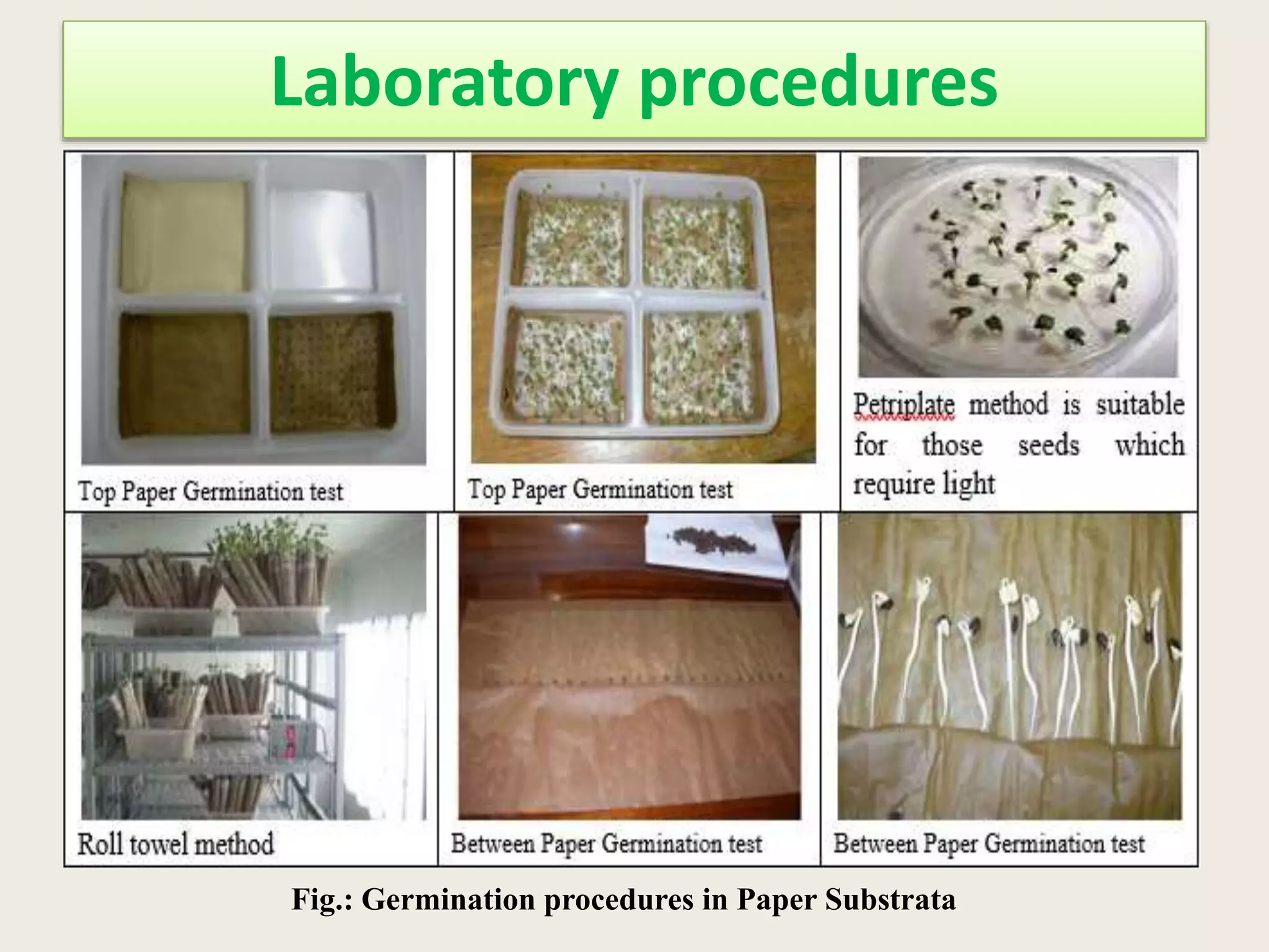 Germination ppt final | PPTX
